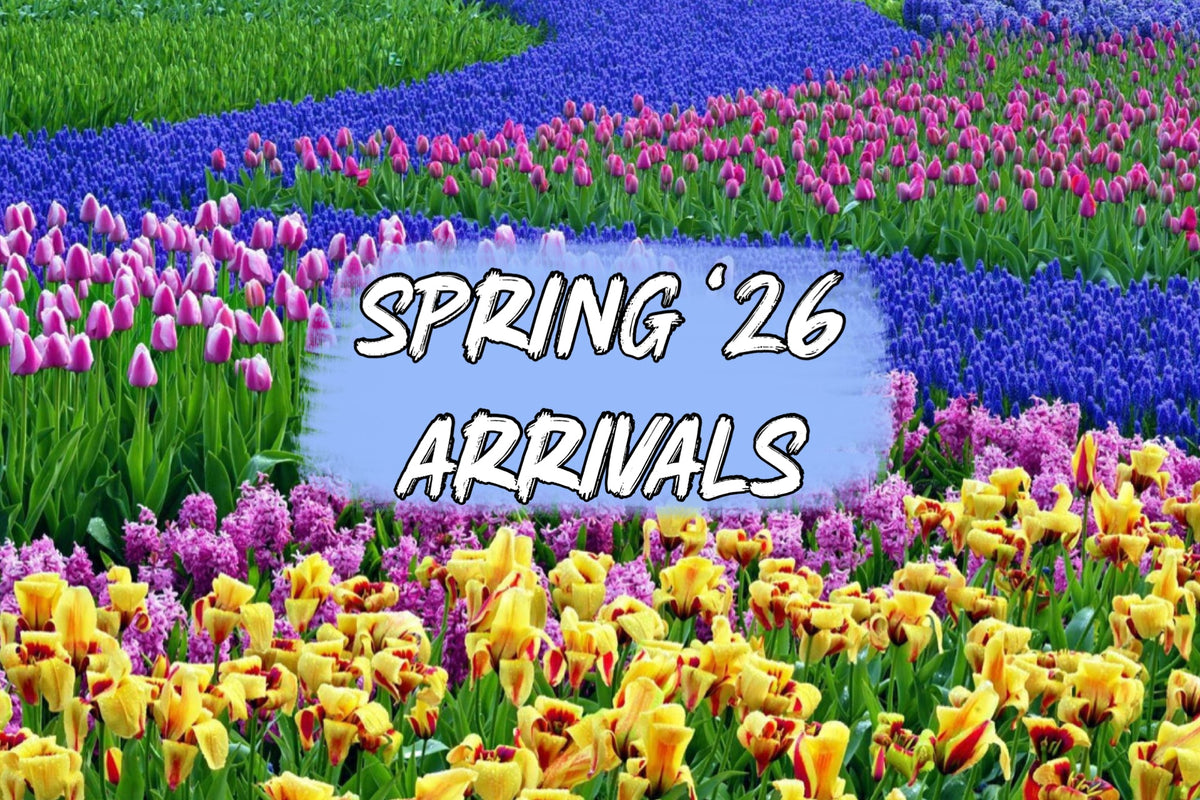 Spring 26’ 💐 – Tagged "Spring ‘26" – Peace Love Fashion